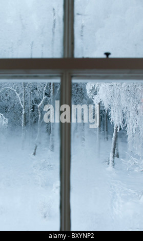 A misty window pane with trees outside Stock Photo - Alamy