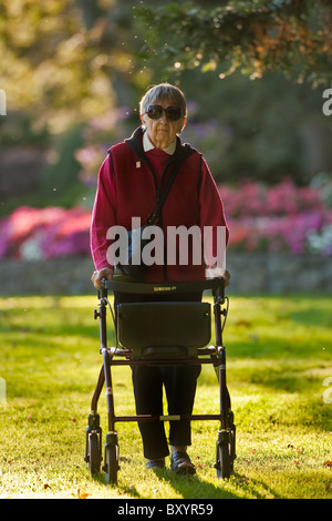 Elderly lady walking with the aid of a walking frame with wheels, in ...