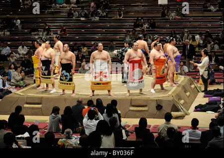 Sumo Wrestler's Ceremonial Apron (Kesho Mawashi), early 20th century ...
