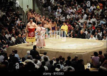 Sumo Wrestler's Ceremonial Apron (Kesho Mawashi), early 20th century ...