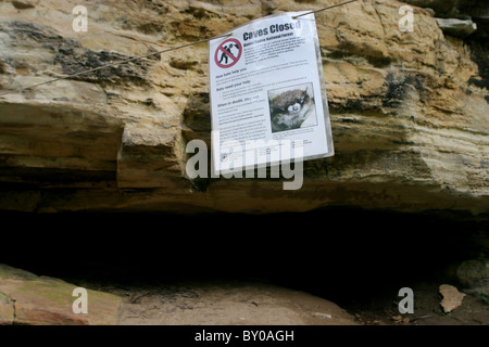 Cave closed sign to protect bats from white nose syndrome fungal ...