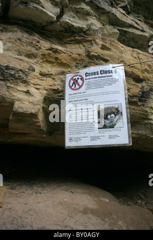 Cave closed sign to protect bats from white nose syndrome fungal ...