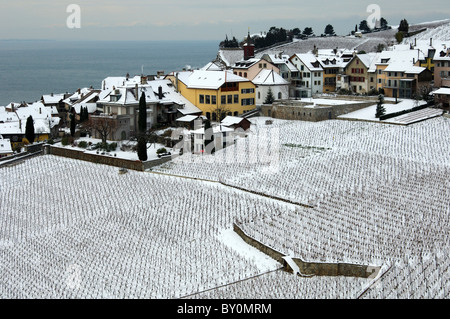 Snow-covered vineyards of Rivaz, UNESCO world heritage site, Lavaux on ...