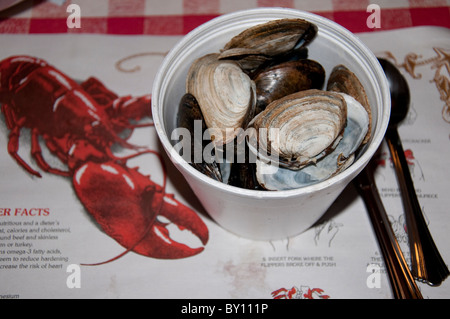 Maine Lobster and soft shell clams in Plymouth Massachusetts USA Stock ...