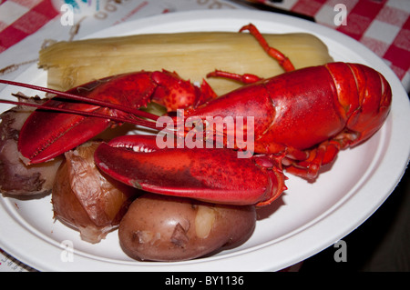 Maine Lobster and soft shell clams in Plymouth Massachusetts USA Stock ...