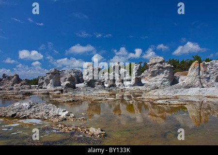 Limestone sea stacks / raukar at Folhammar, Gotland, Sweden Stock Photo ...