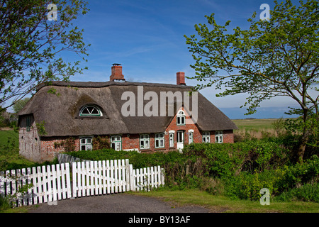 Frisian house with thatched roof Stock Photo - Alamy