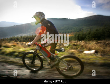 Mountain Biking on the Penmachno Bike Trails, near Betws-y-Coed ...