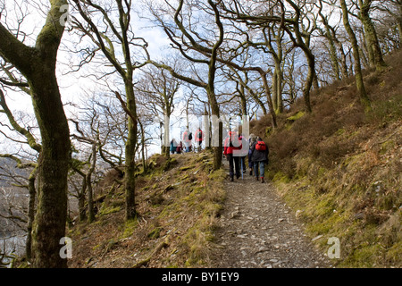 Group of Ramblers walking near Llanberis in the winter Stock Photo - Alamy