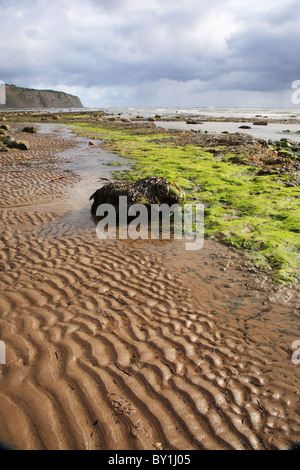 Seaweed on Sand, Robin Hood's Bay, Whitby Stock Photo - Alamy