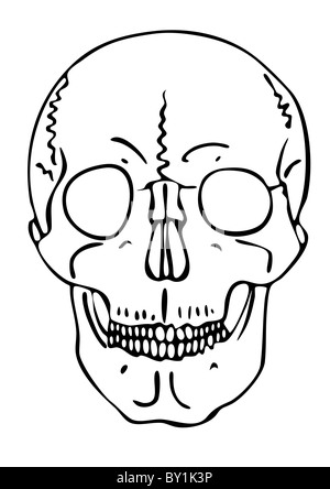 Danger skull warning death symbol Stock Photo - Alamy