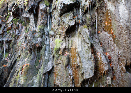 Dec 2009 WALK Magazine - Eifion Rees walks the Mawwdach Way in Wales ...