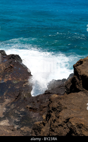 Reliable Hanola Blow Hole shooting water in South shore of Hawaii near ...