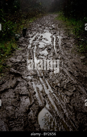 Water logged footprints Stock Photo - Alamy