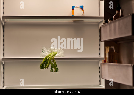 almost empty fridge Stock Photo - Alamy