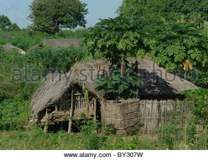 Rural Mozambique village with thatched huts and grain barns on Stock ...