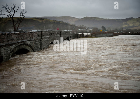 Flooding on the River Dyfi bridge at Machynlleth, Powys, Mid wales UK ...