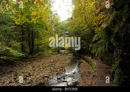 The River Gelt runs through Gelt Woods near Brampton, Cumbria Stock ...