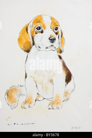 Beagle - pastel chalk on paper by Kurt Tessmann Stock Photo - Alamy