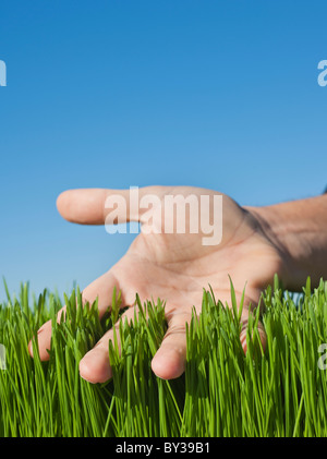 Hand of human touching on green screen of smart phone Stock Photo - Alamy