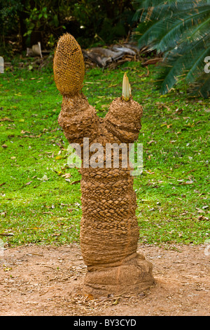 Xishuangbanna Tropical Botanical Garden, Menglun, Yunnan Province ...