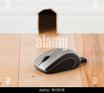 Computer mouse on the floor Stock Photo - Alamy