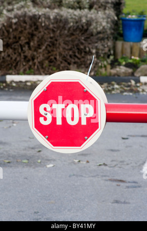 STOP - red road traffic signs in Middle East Stock Photo - Alamy