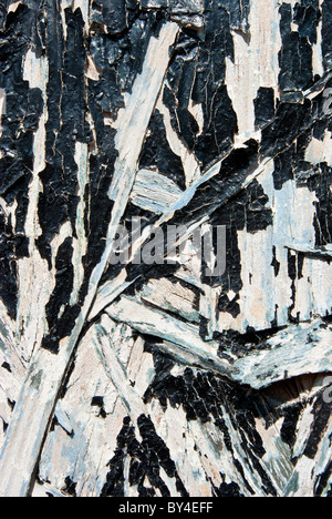 Paint on decaying wooden panel Stock Photo - Alamy