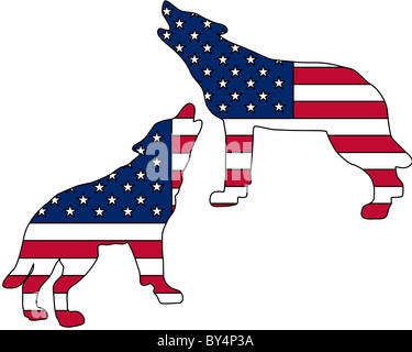 American howling wolves Stock Photo - Alamy