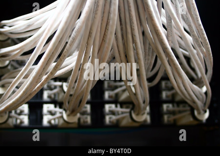 gigabit ethernet connection Stock Photo - Alamy