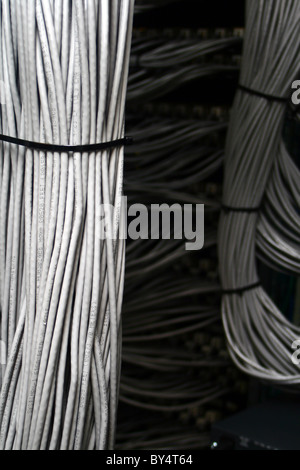 Ethernet cables in a harness Stock Photo - Alamy