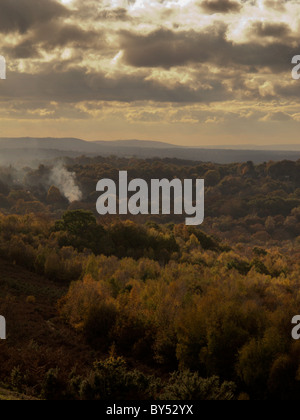 landscape image taken in Ashdown Forest, uk england winter time Stock ...