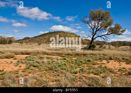 australian landscape in the northerm territory, australia Stock Photo ...
