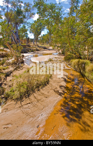 bush and road on the outback, northern territory australia Stock Photo ...