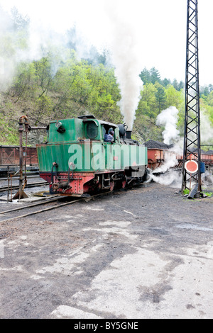 steam locomotive, delivery point in Oskova, Bosnia and Hercegovina ...