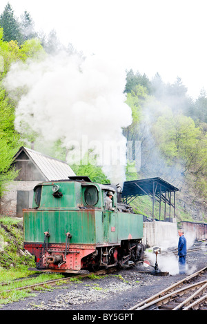 steam locomotive, delivery point in Oskova, Bosnia and Hercegovina ...