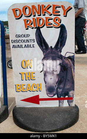 Donkey rides at the seaside Stock Photo - Alamy