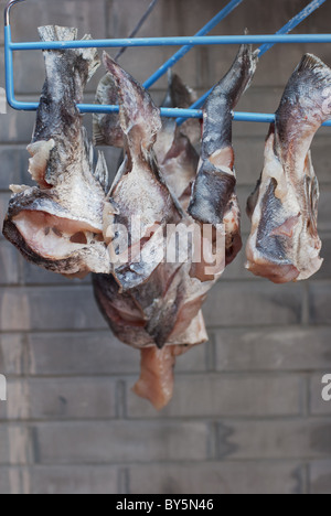 Hanged dry fishes Stock Photo - Alamy