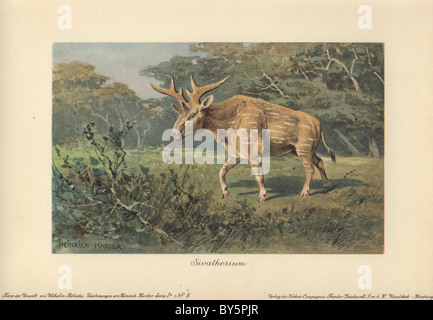 Sivatherium ('Shiva's beast)' is an extinct genus of giraffe that ...