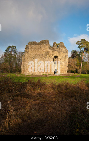 The ruins of Odiham Castle Hampshire UK Stock Photo - Alamy