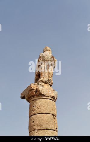 The Karakus eagle Stock Photo - Alamy
