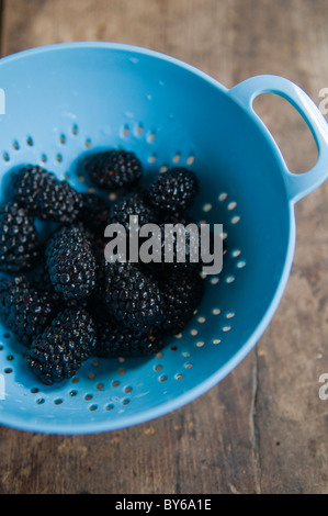 Colander with washed organic berries Stock Photo - Alamy