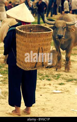 The traditional vietnamese conical hat. Tan Chau. Vietnam Stock Photo ...