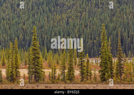 View of Howse Pass from Saskatchewan Crossing Viewpoint, Canadian ...