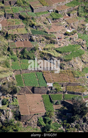 Terraced fields for farming, Madeira Stock Photo - Alamy