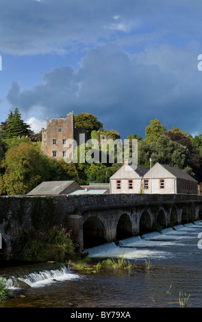 Ardfinnan Castle in the village of Ardfinnan in County Tipperary rising ...