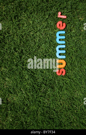 Text SUMMER from letters and field chamomiles flowers on yellow ...