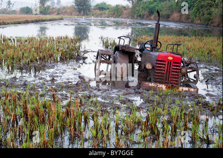 Indian tractor stuck in the rice paddy mud. Andhra Pradesh, India Stock ...