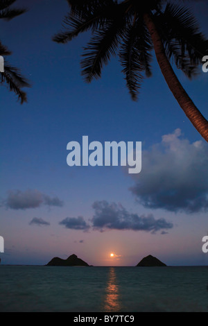 pacific moonrise between the mokulua islands in oahu, hawaii Stock ...