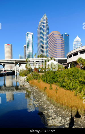Tampa Florida shoreline restoration project funded by Southwest Florida ...